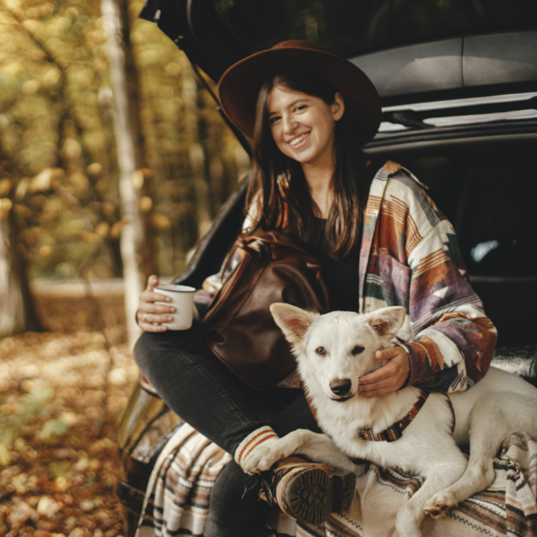 Autumn Adventures for You and Your Senior or Disabled Dog