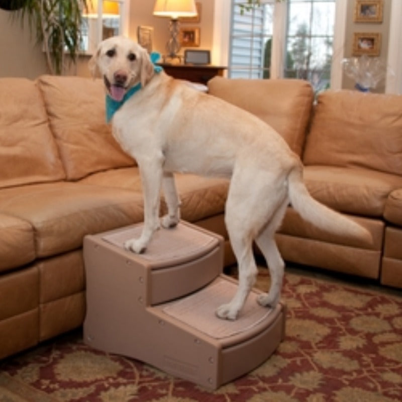 Pet Stairs | Dog Step Stool | Golden Wags