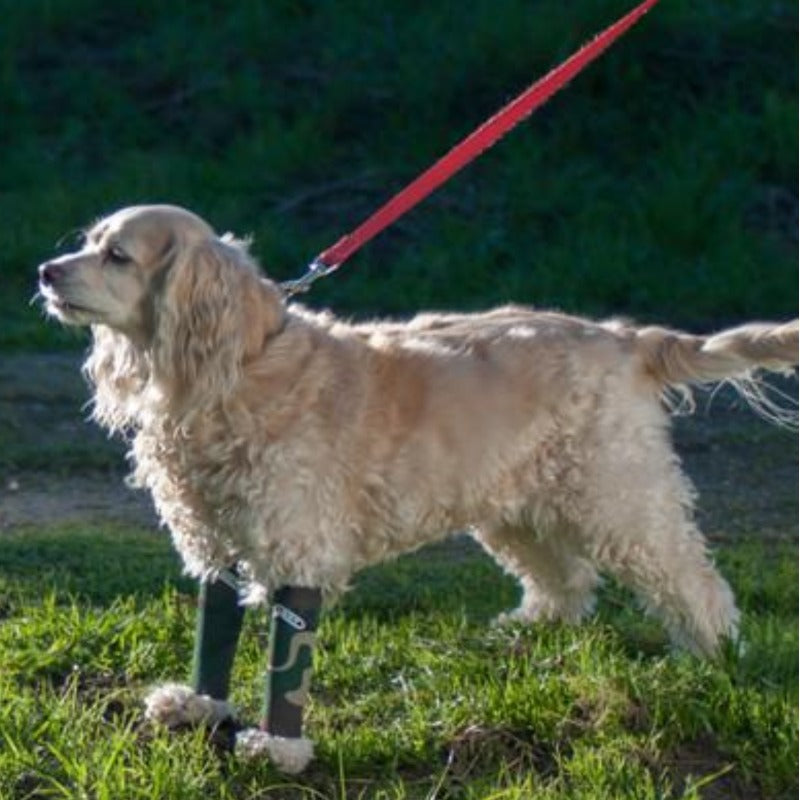 Walkabout, Dog Compression Sleeve